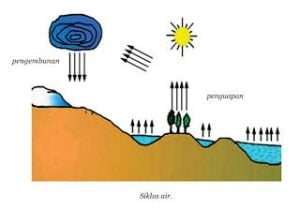 Memahami Proses Siklus Hujan: Dampak Dan Signifikansi Dalam Kehidupan ...